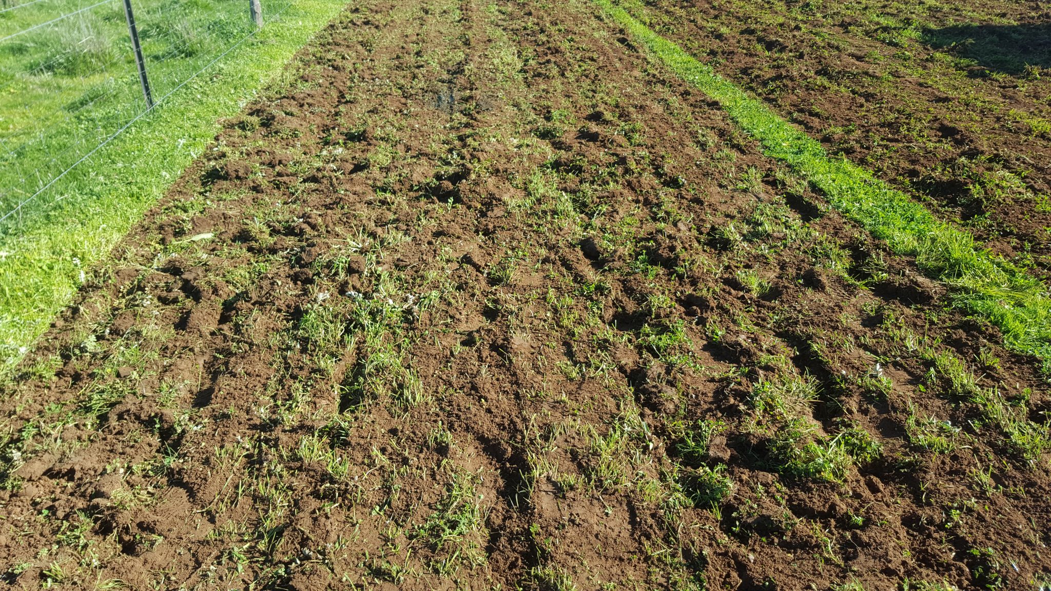 Adaptive Farming Systems - Holbrook Landcare Network