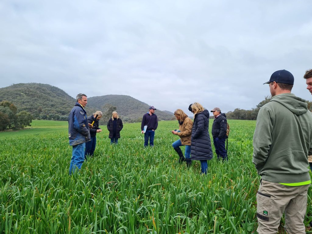Adaptive Farming Systems - Holbrook Landcare Network