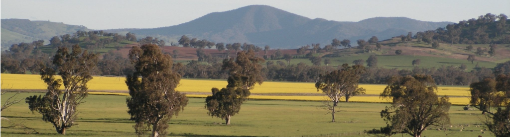 Regional Landcare - Holbrook Landcare Network