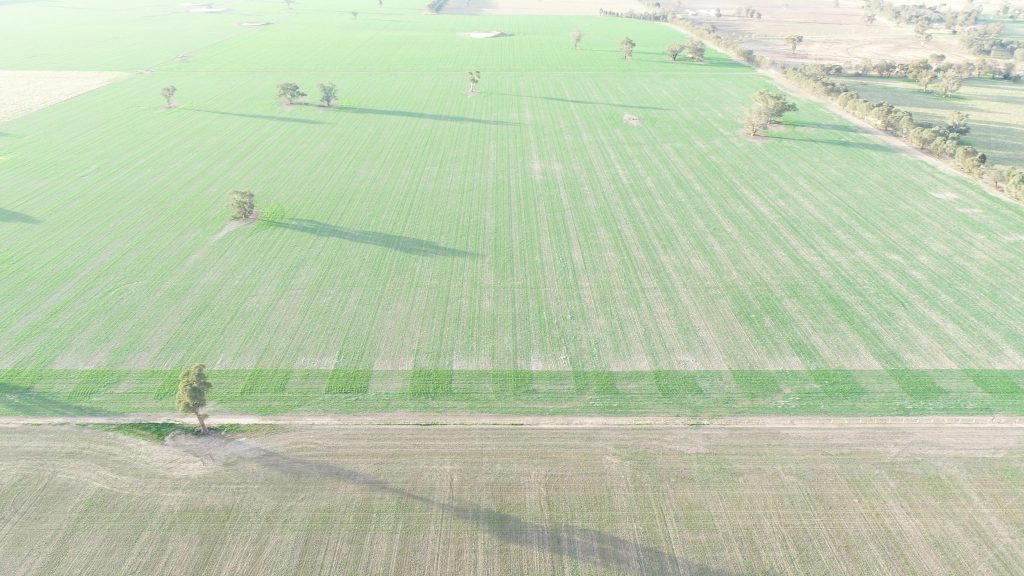 New Approaches to Tackling Soil Acidity in Perennial Pasture Systems ...