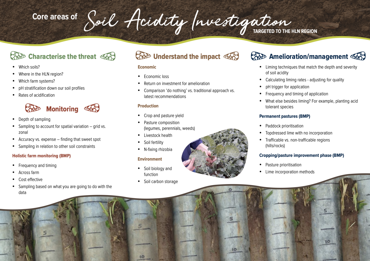 HLN Acid Soils Strategy - Holbrook Landcare Network