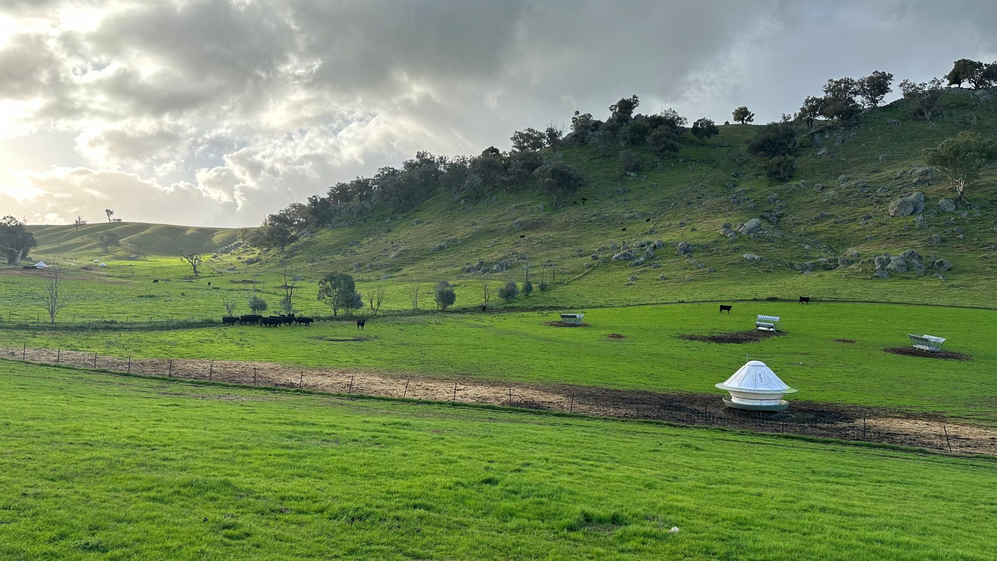 Saving Our Soils – Stock Management Areas - Holbrook Landcare Network