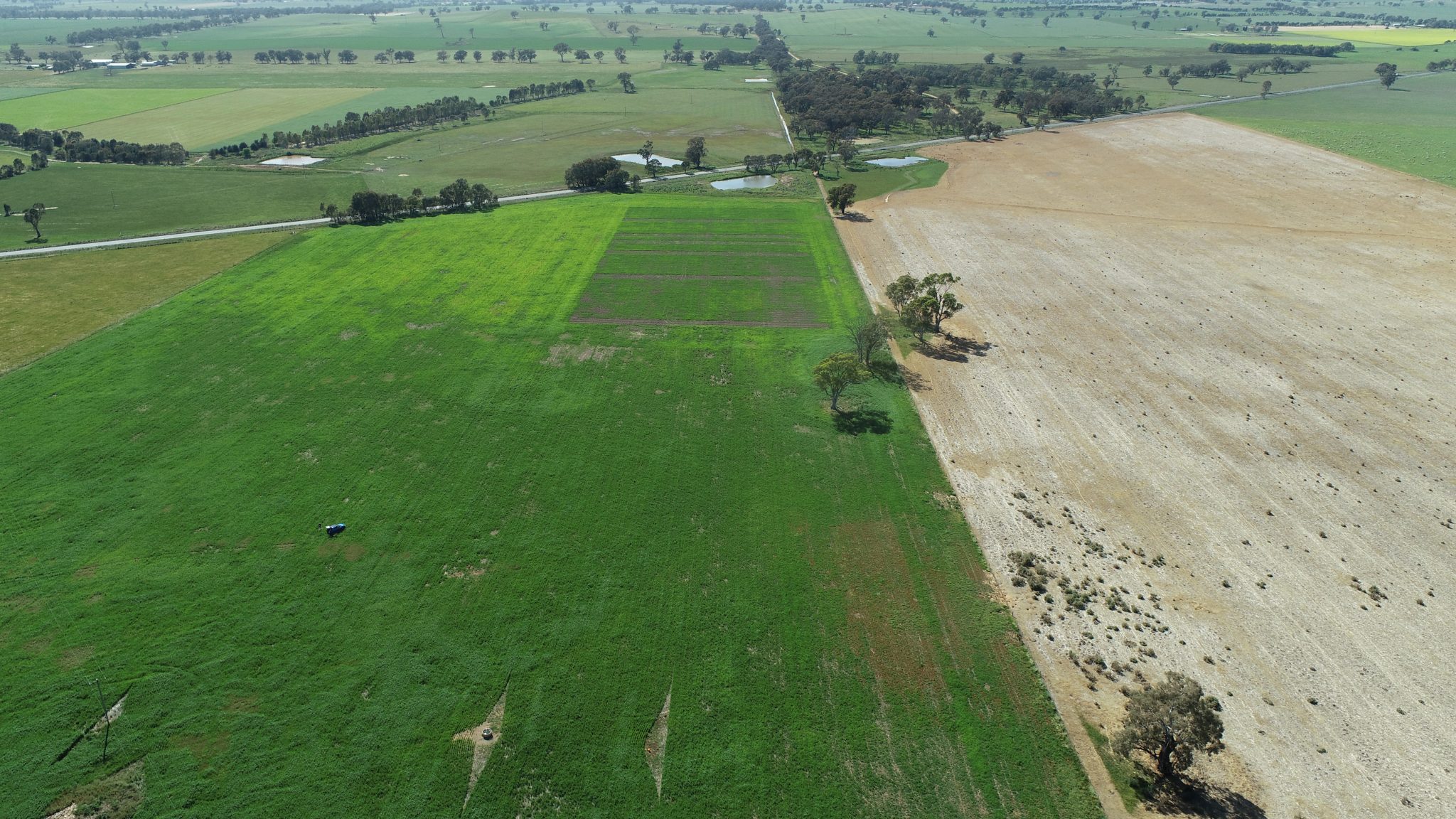 Resilient Pastures - Holbrook Landcare Network