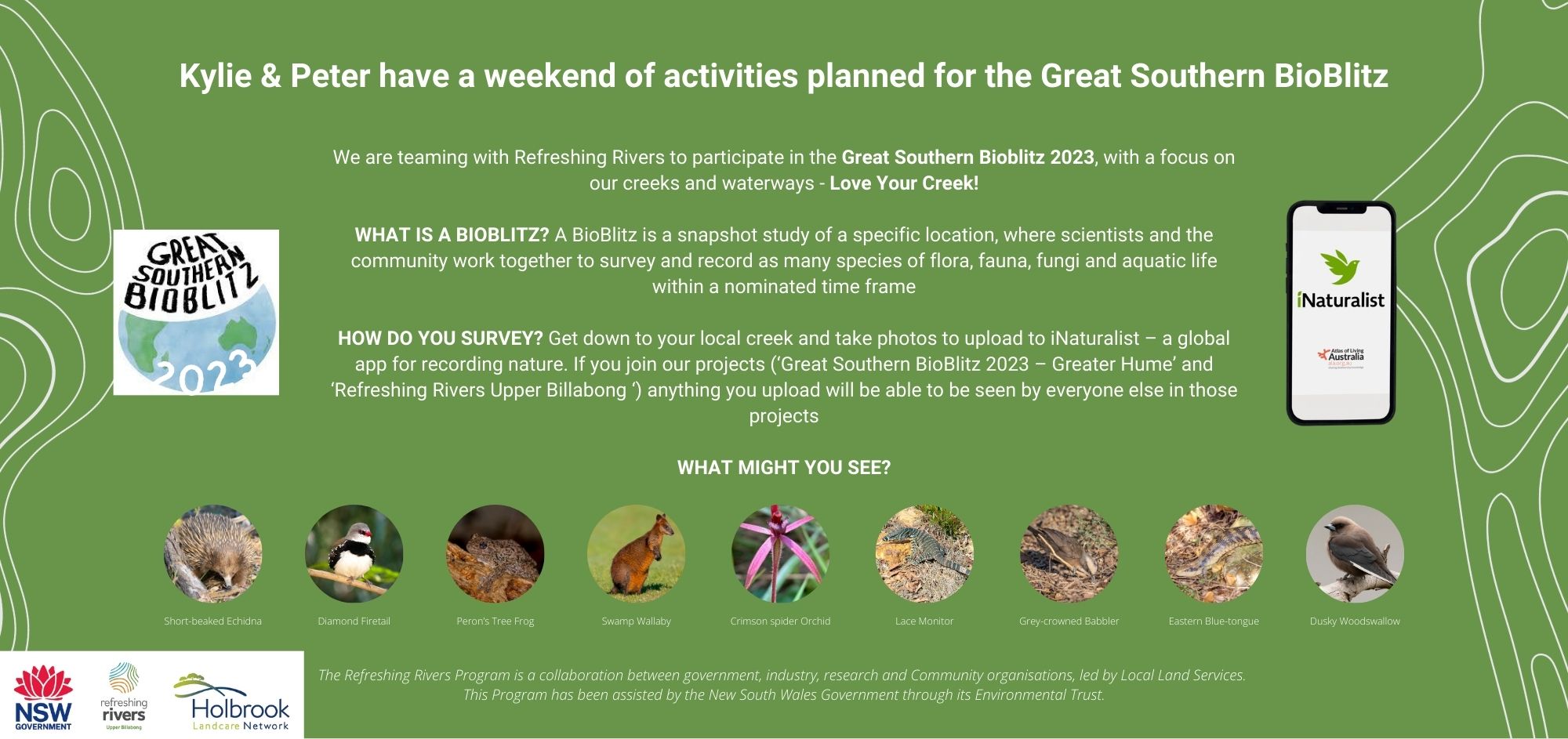 Are you Ready for the Great Southern BioBlitz? - Holbrook Landcare Network