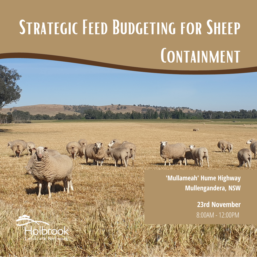 Strategic Feed Budgeting for Sheep Containment - Holbrook Landcare Network
